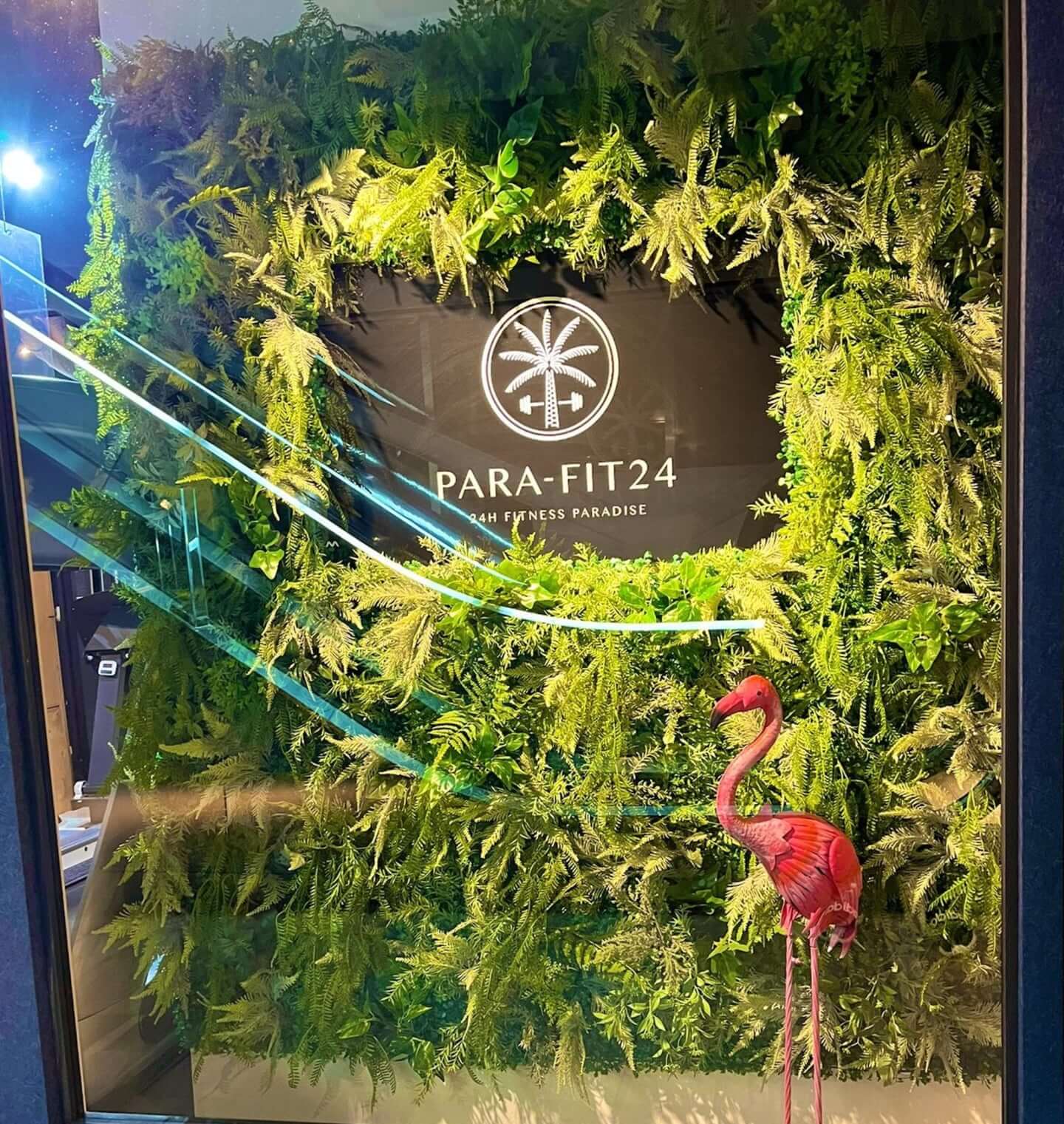 カイリさんのジム「PARA-FIT24」に行ってきました！ | Qetic