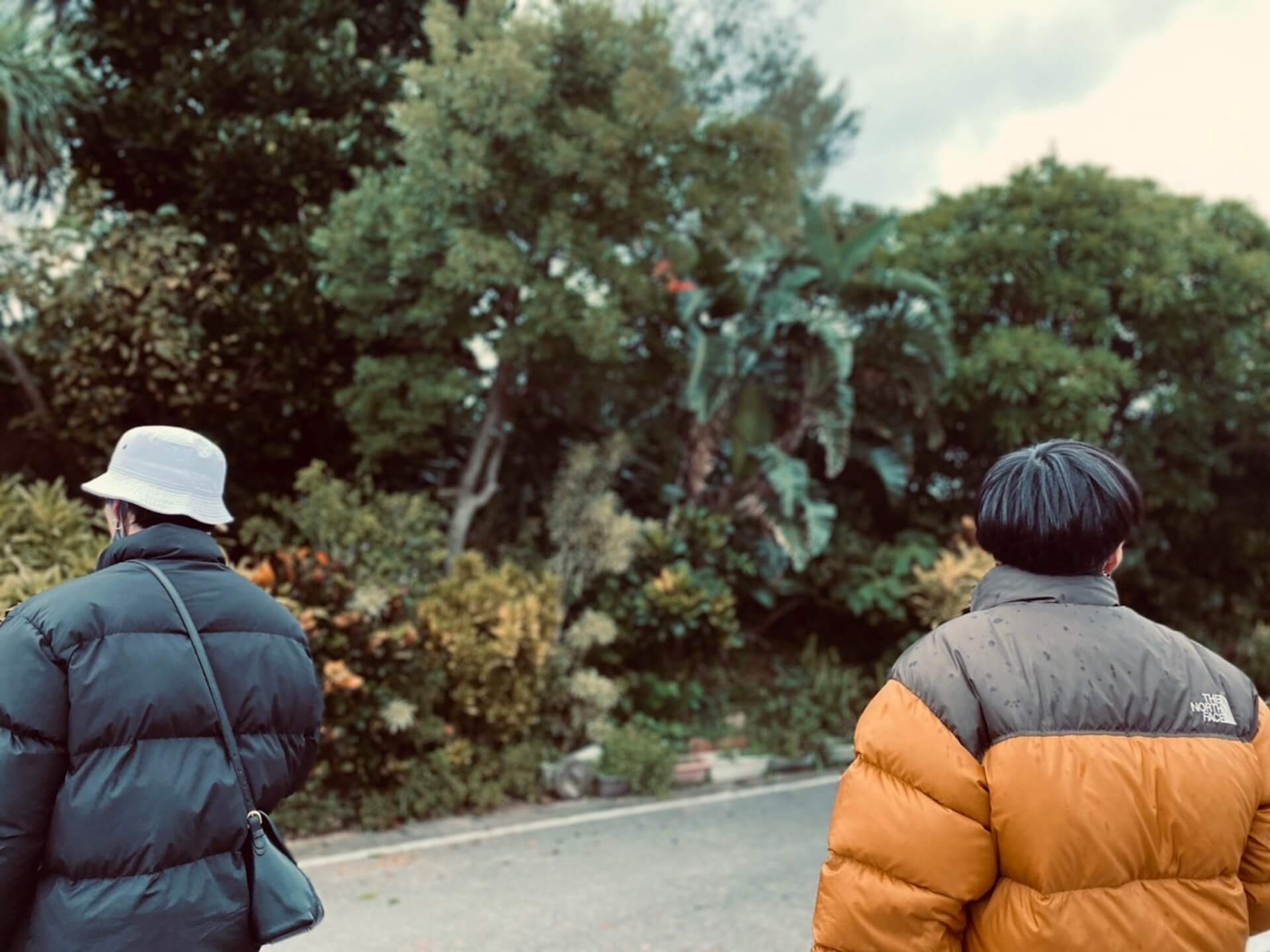 生きている日々はずっと輝き続ける──注目を集める新鋭R＆Bユニット・lo-key designが見据える未来 | Qetic